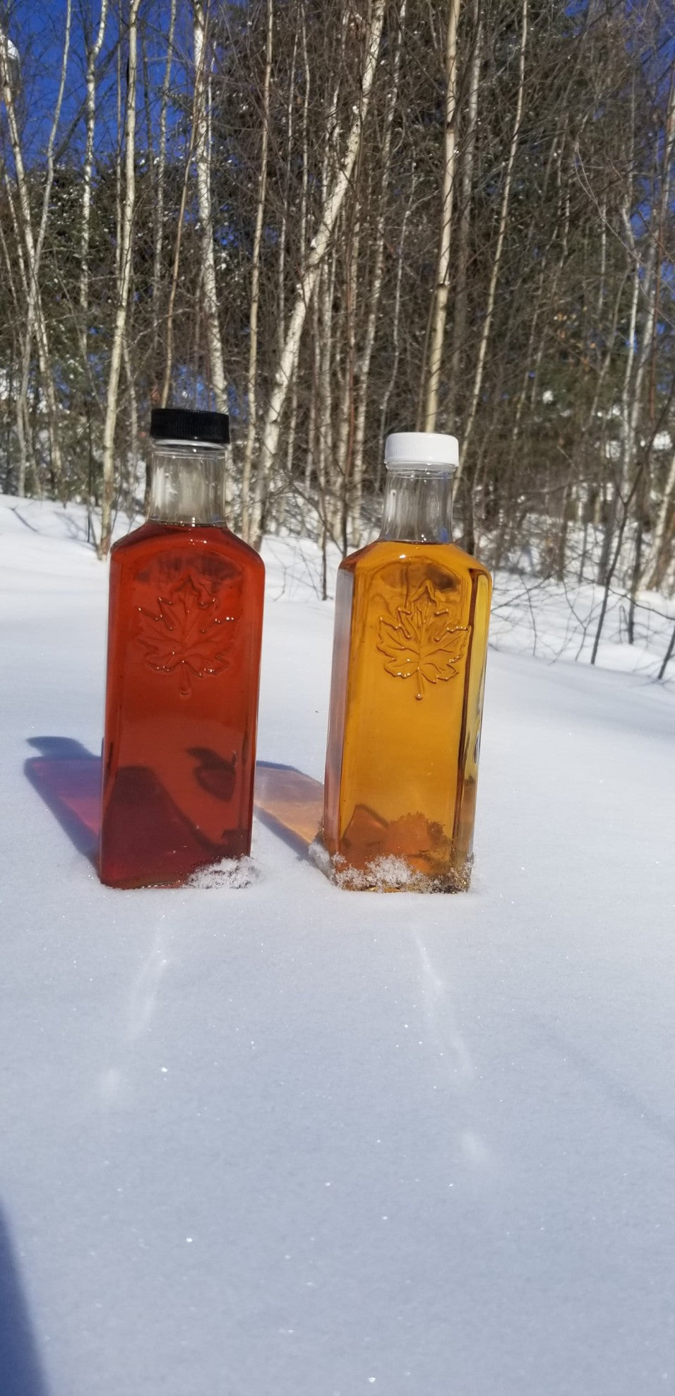Maple Syrup: Why the Color Changes During the Season – maple syrup from ...